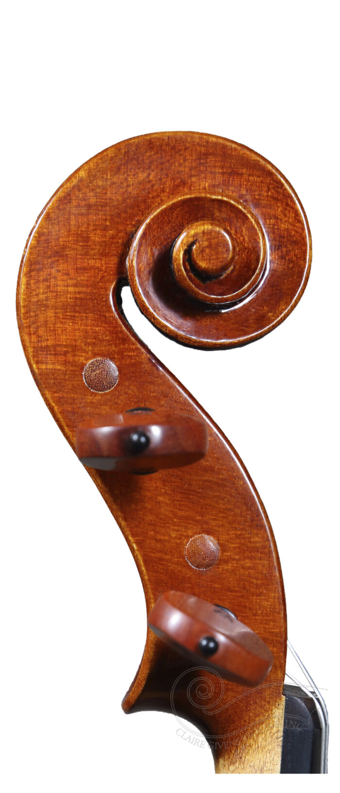Elisa Scrollavezza, Parma 2022 w/cert | Claire Givens Violins, Inc