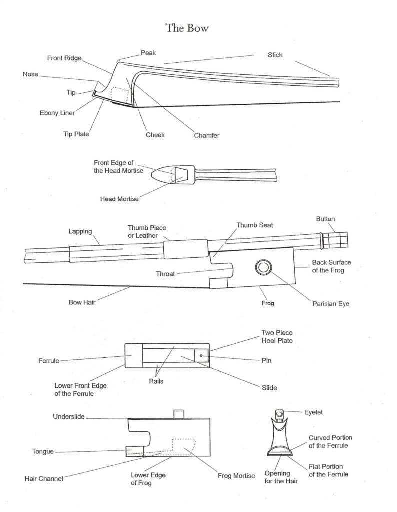 Getting to Know Your String Instrument Bow – The Anatomy & How it ...